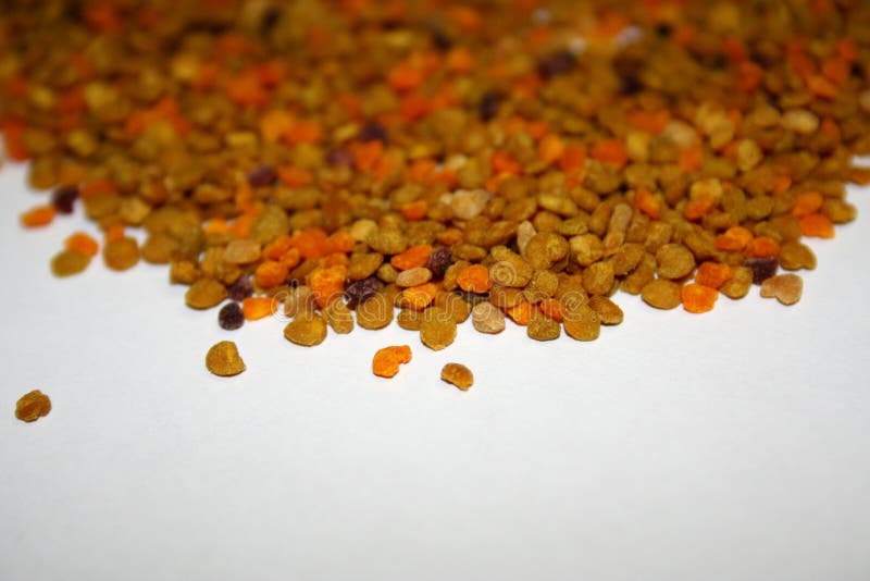 Coregone lavarello immagine stock. Immagine di marrone - 1394931