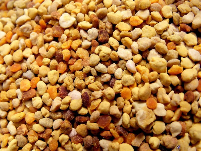 Coregone Lavarello Del Fiore Fotografia Stock - Immagine di balbuzie ...