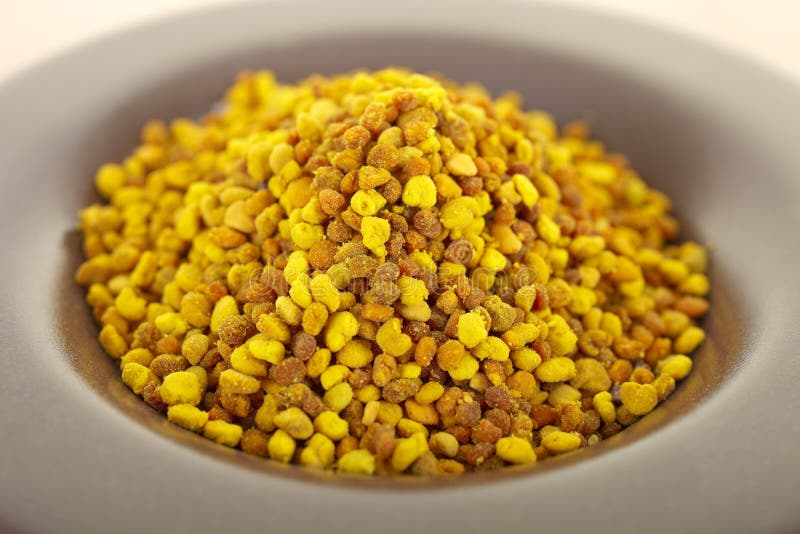 Coregone Lavarello Dell'ape Fotografia Stock - Immagine di giallo ...