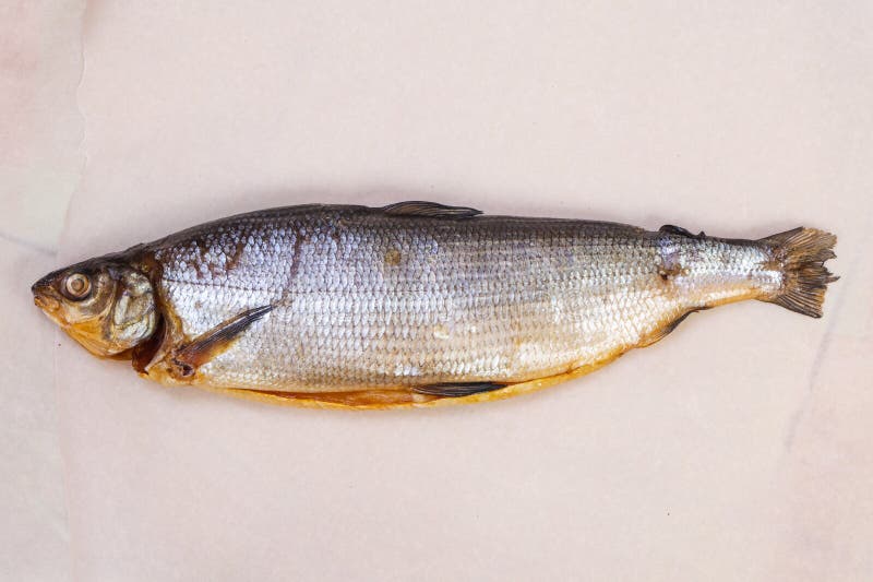 Coregone Affumicato Del Pesce Sul Piatto Su Bianco Fotografia Stock ...