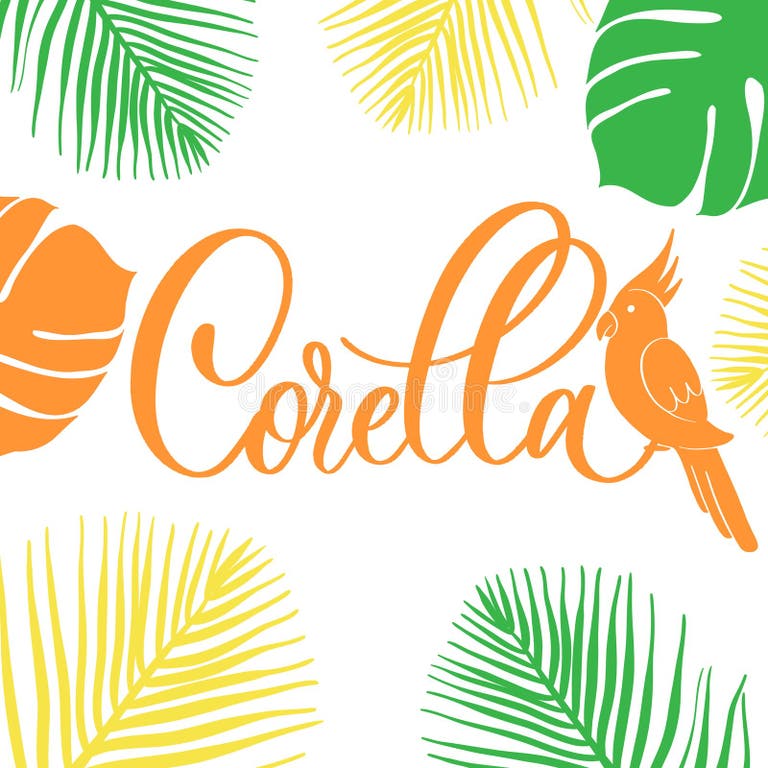 Corella Logo Stock Illustrations – 25 Corella Logo Stock Illustrations, Vectors & Clipart ...
