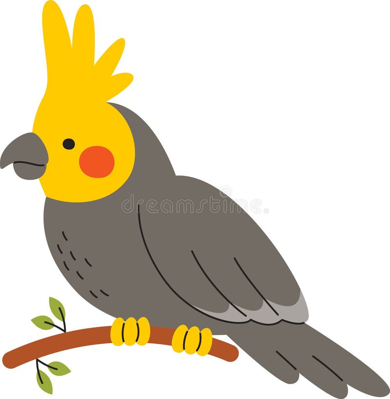 Corella Parrot on the Branch. Stock Vector - Illustration of page ...