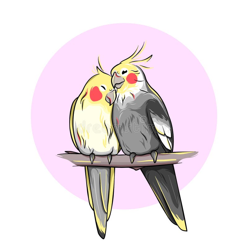 Corella Stock Illustrations – 541 Corella Stock Illustrations, Vectors ...