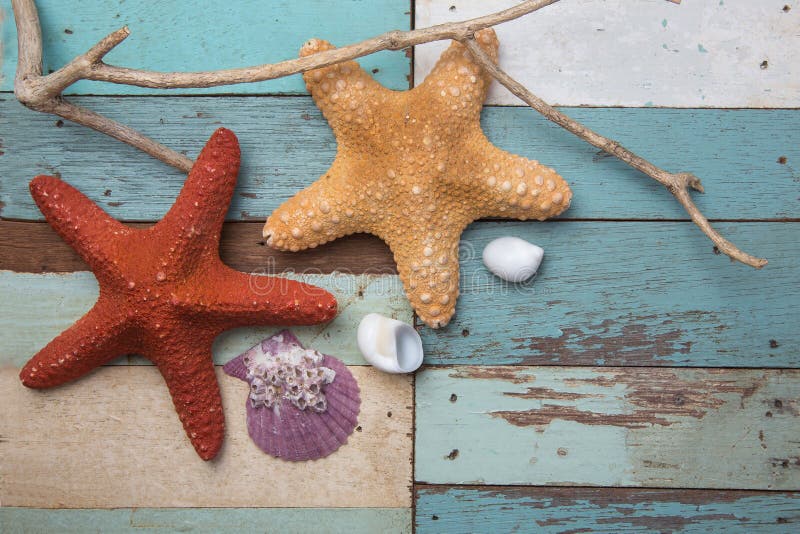 Cores De Shell No Fundo Da Madeira Foto de Stock - Imagem de oceano ...