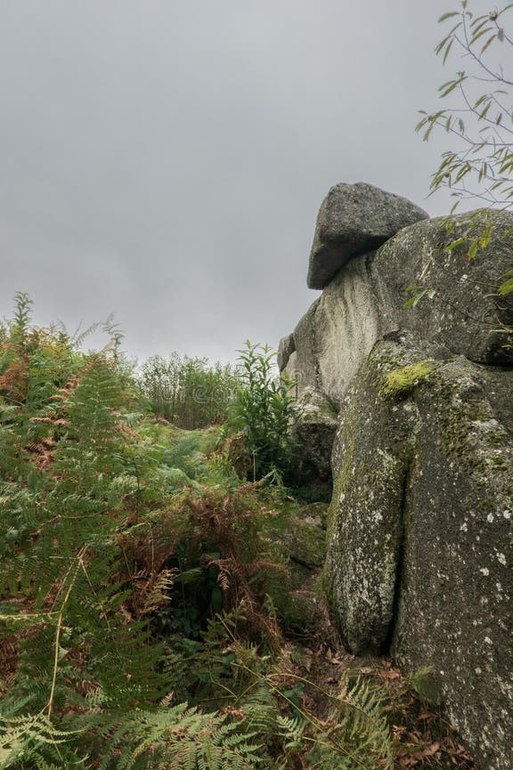 227 Physical Weathering Stock Photos - Free & Royalty-Free Stock Photos ...