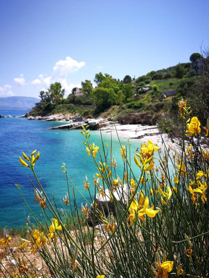Corfu greek stock photo. Image of nautre, greek, corfu - 118401924