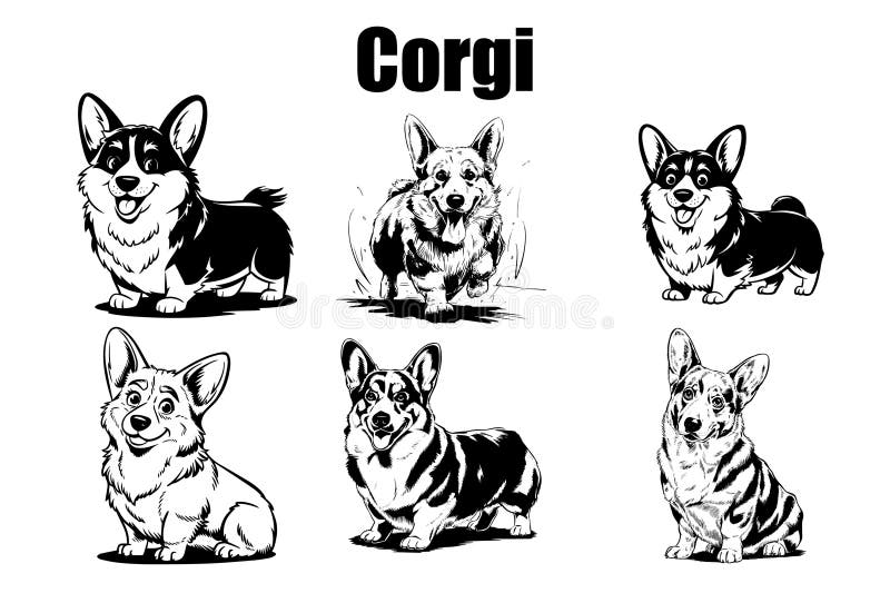 Corgi Vector Design and Illustrations Stock Vector - Illustration of ...
