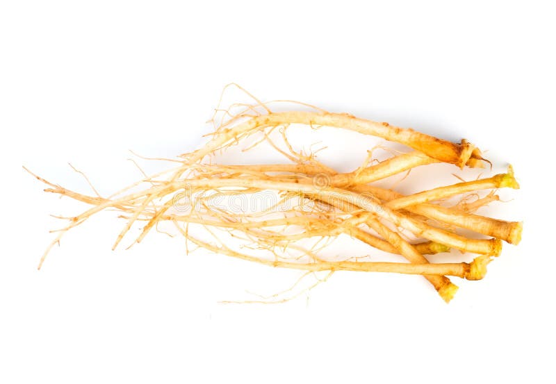 Cilantro Root with Leaves on White Background - Isolated Stock Photo ...