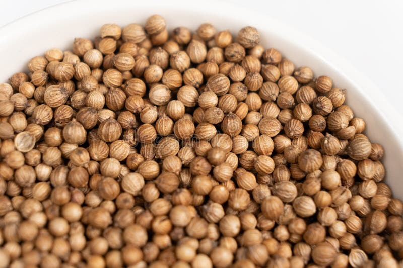 Coriander Grains in a Plate Macro Top View. Stock Image - Image of ...