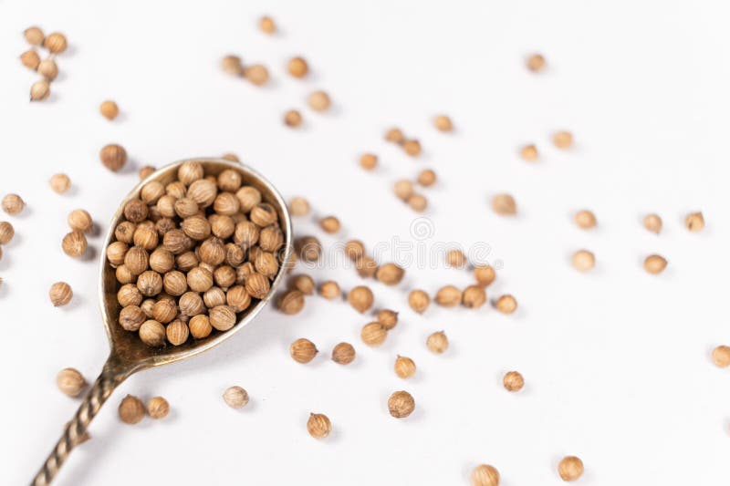 Coriander Grains in a Spoon on a White Background. Stock Photo - Image ...