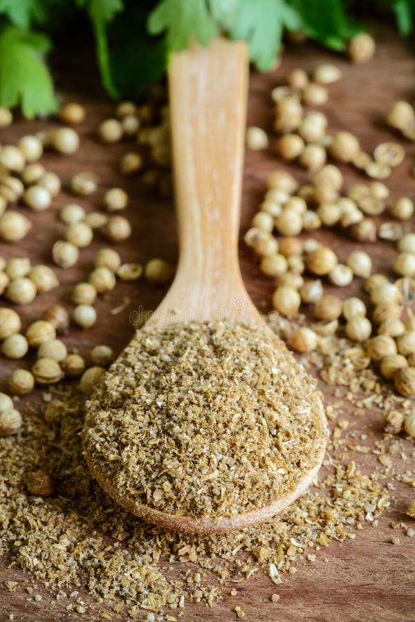 Coriander Powder, Aromatic Ingredients on Rustic Wooden Table Stock ...