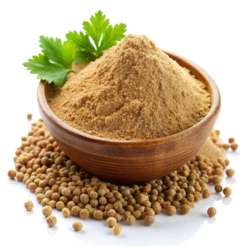 Coriander Powder Stock Illustrations – 3,842 Coriander Powder Stock ...