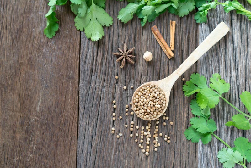 Coriander Seed and Leaf on Wood Background. Top View. Stock Photo ...