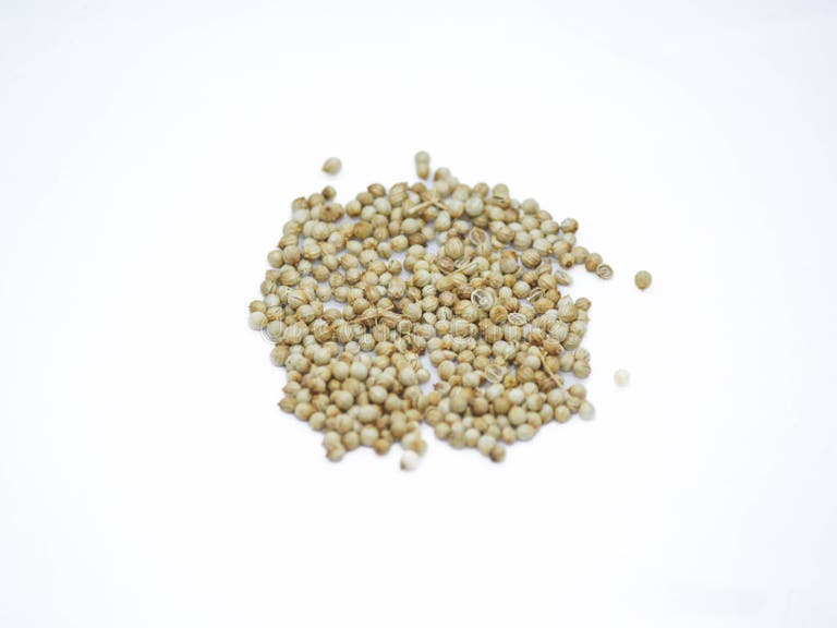 Coriander Seeds Spread Out stock photo. Image of herb - 361520054