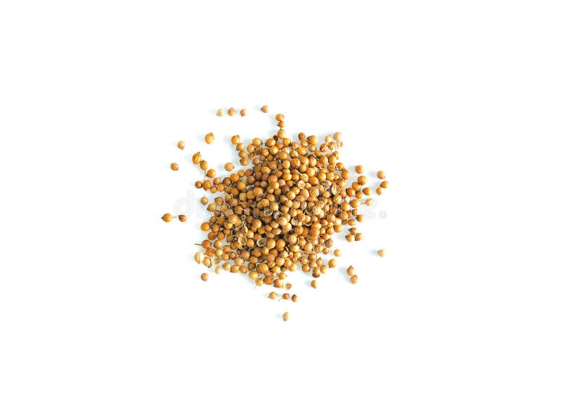 Coriander Seeds on White Background Stock Photo - Image of ingredient ...