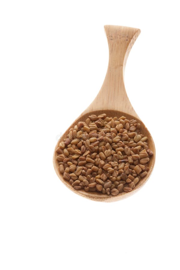 Coriander on Spoon Still Life Stock Photo - Image of life, cooking ...