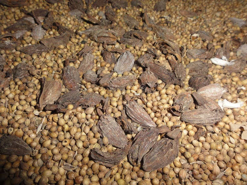 Photograph of Coriander, Mint, Green Chilli and Raw Mango. Raw Material ...