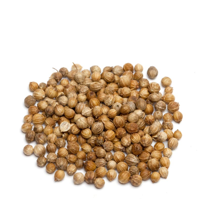 Coriandro foto de archivo. Imagen de fondo, blanco, cilantro - 17128448