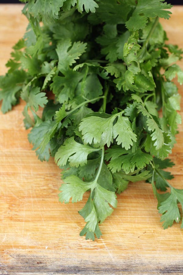 Fondo O Textura Del Cilantro Imagen de archivo - Imagen de crudo ...