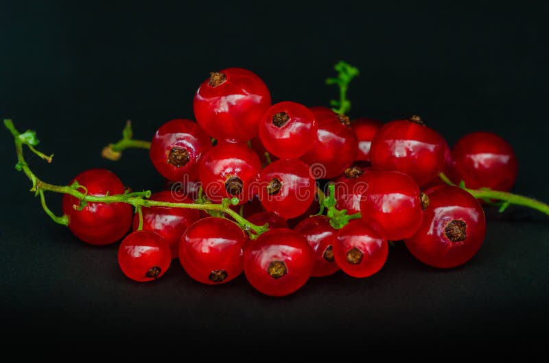 Corinto no fundo preto imagem de stock. Imagem de suculento - 119105619