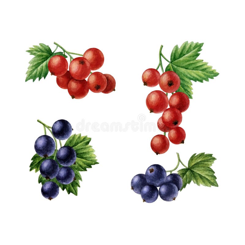 Corintos Ilustrações, Vetores E Clipart De Stock – (563 Stock ...