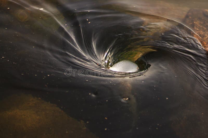 The coriolis effect. stock photo. Image of river, water - 262141104