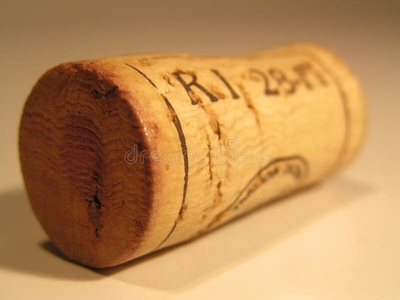 Cork oak tree without bark stock image. Image of french - 1385647