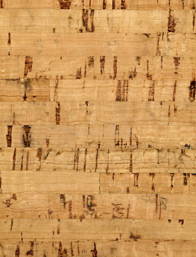 Cork texture stock image. Image of floor, natural, texture - 4810847
