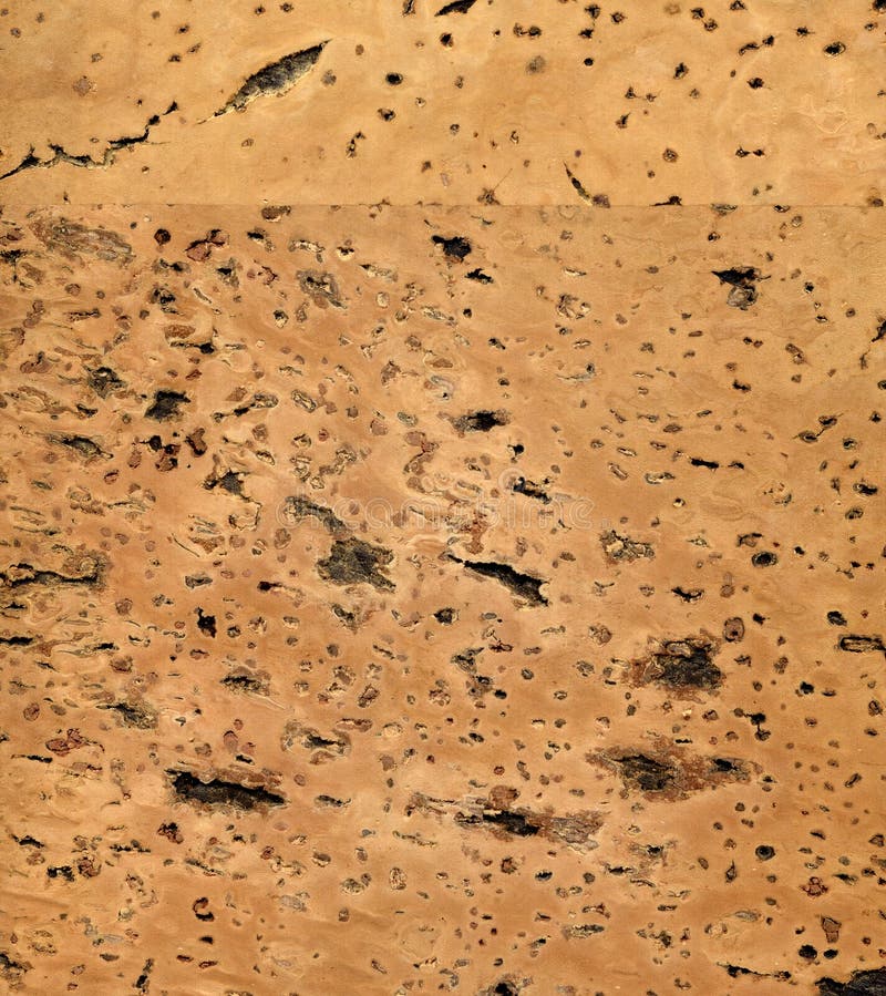 Cork texture stock image. Image of floor, natural, texture - 4810847