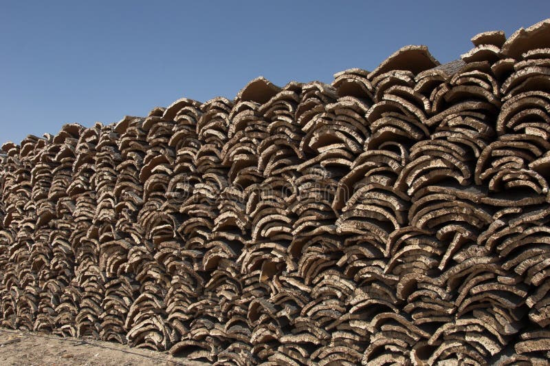 Stacked Bark of the Cork Oak in Alentejo, Portugal Stock Photo - Image ...