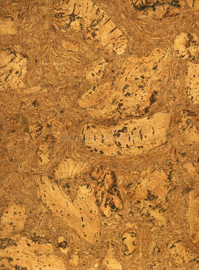 Cork background stock photo. Image of memo, background - 1962442