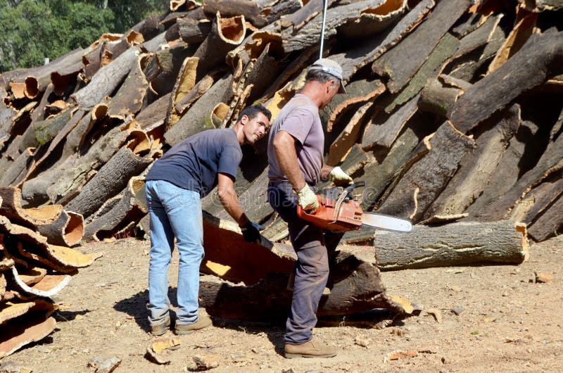 Cork bark production editorial stock image. Image of industry - 33548704