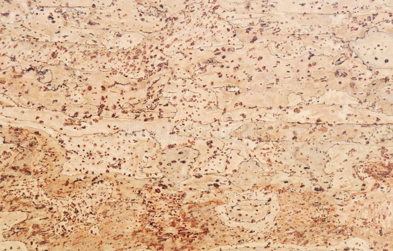 Cork Board Flooring Pattern Stock Photo - Image of pattern, floor: 13047720