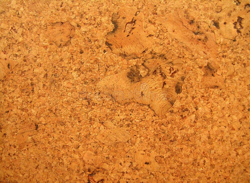 Cork texture stock photo. Image of tile, corkboard, design - 4890670