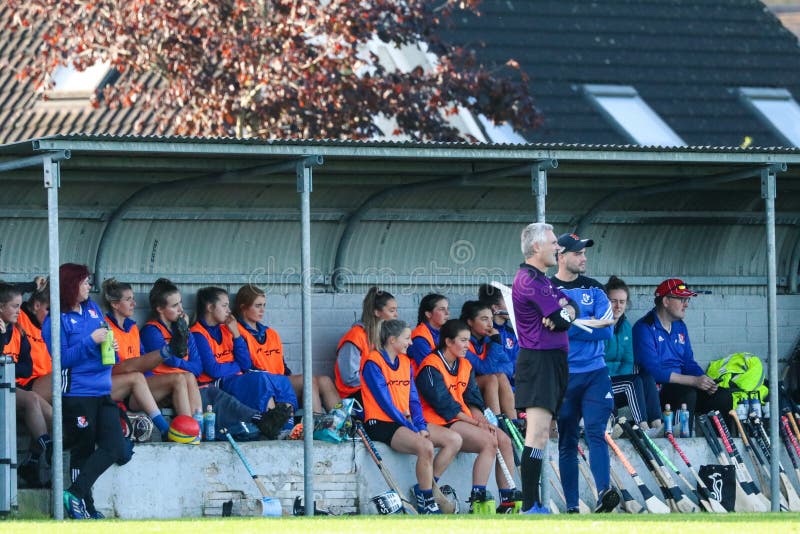 Cork Camogie Senior Championship Final: Inniscarra 0-15 Vs Sarsfields 3 ...