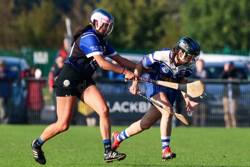 Cork Camogie Senior Championship Final: Inniscarra 0-15 Vs Sarsfields 3 ...