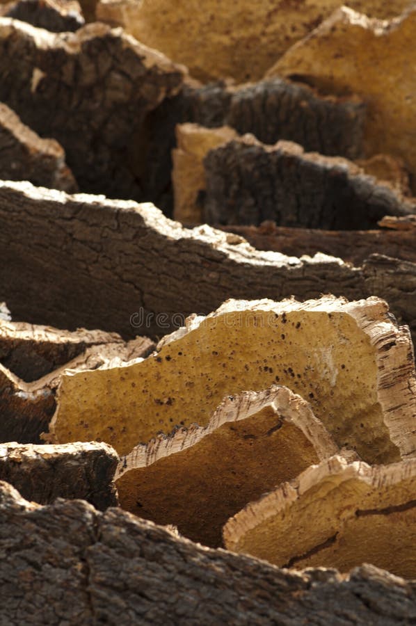 Cork crust stock image. Image of cortex, abstract, sheet - 26308029