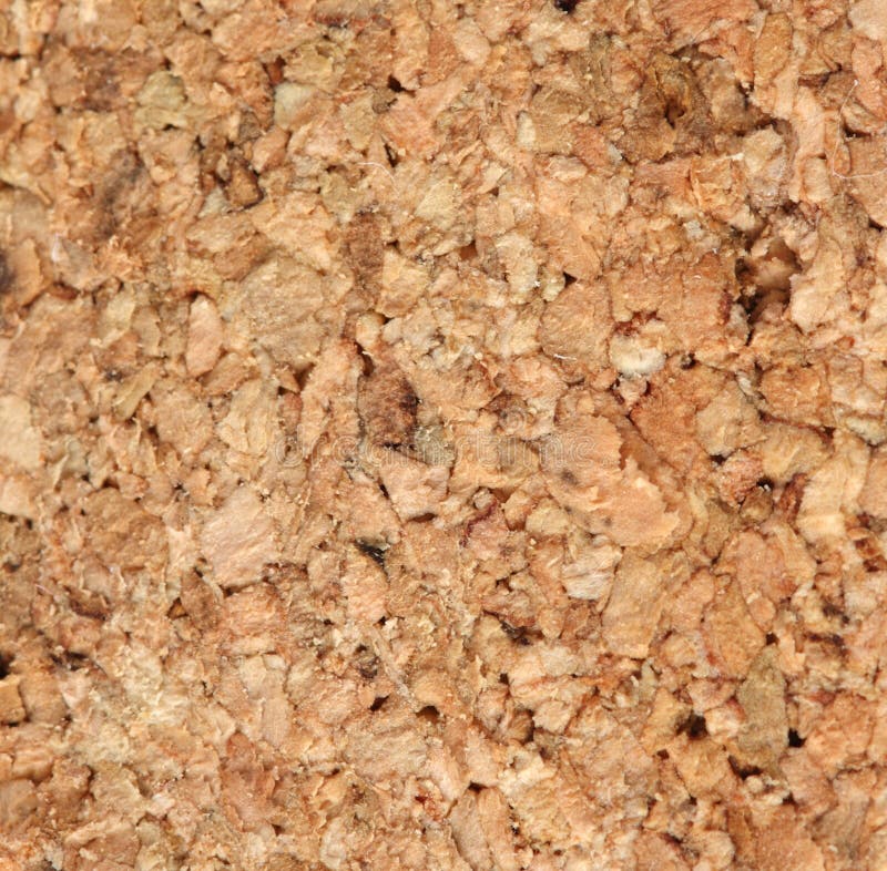 Cork board texture stock photo. Image of remember, flat - 11061376