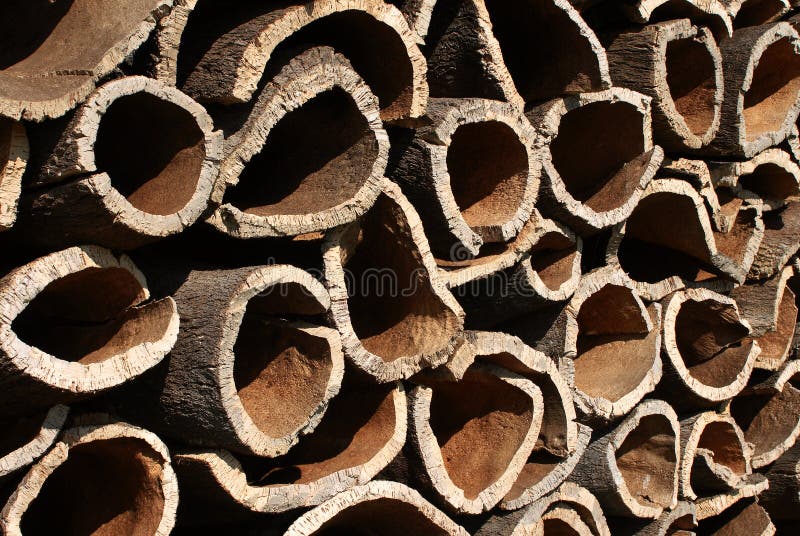 Cork oak bark stock photo. Image of ecology, alentejo - 20138136