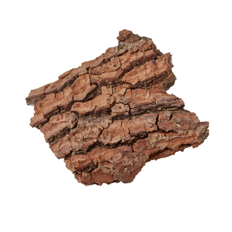 Cork Oak Bark Resting Against Transparent Backdrop, Ideal for Design ...