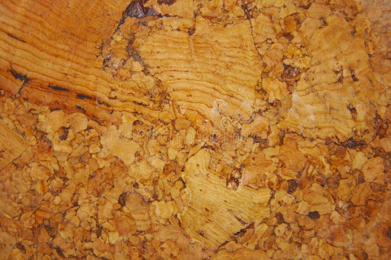 14,679 Cork Pattern Stock Photos - Free & Royalty-Free Stock Photos ...