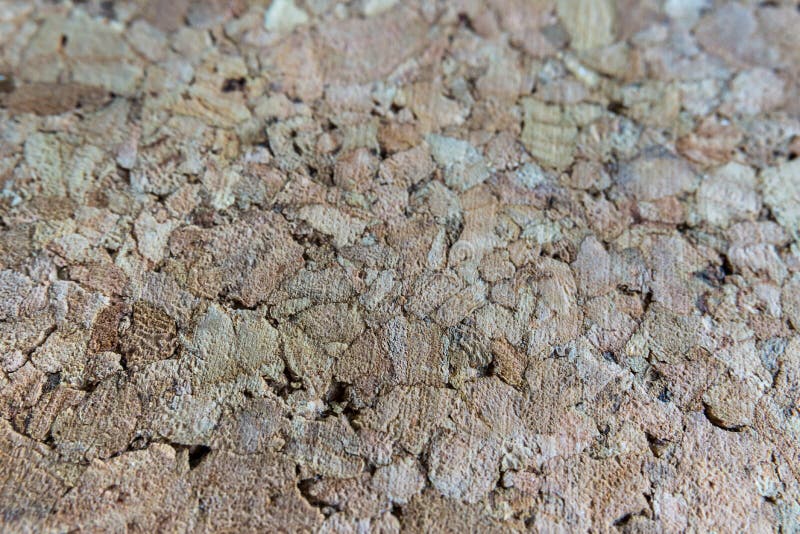 Cork pattern stock image. Image of pattern, close, material - 84624475