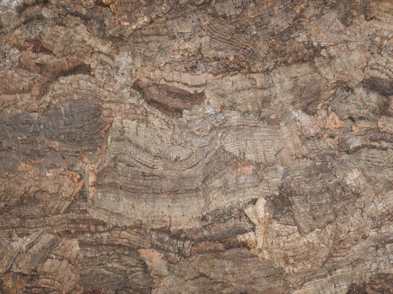Cork Pressed, a Natural Raw Material, Texture Stock Image - Image of ...