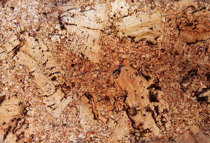 Grunge cork texture stock photo. Image of cork, effect - 173816656
