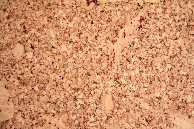 Cork Texture stock photo. Image of plate, ground, macro - 19929164