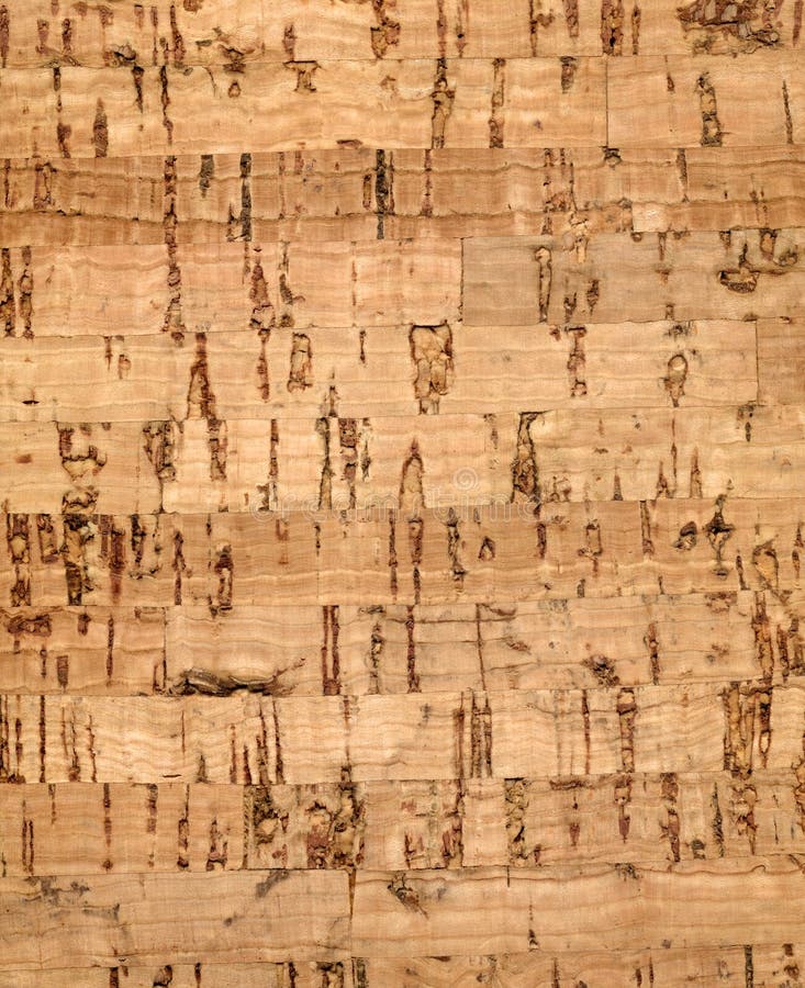 Cork texture stock image. Image of floor, natural, texture - 4810847