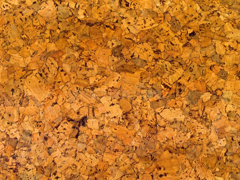 Cork Texture Picture. Image: 8258968