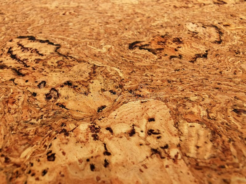 Cork for Texture or Background Stock Photo - Image of backdrop, organic ...