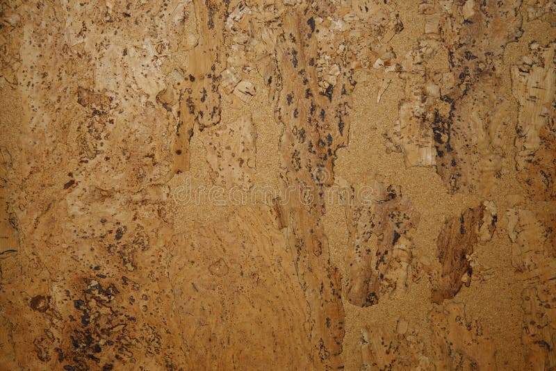 Cork texture. stock image. Image of brown, close, soundproofing - 37180621