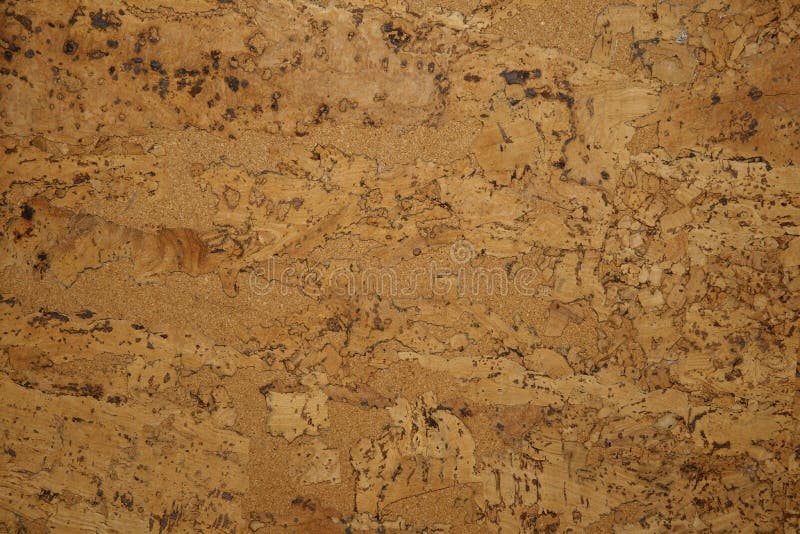 Cork texture. stock image. Image of insulation, pattern - 37180709